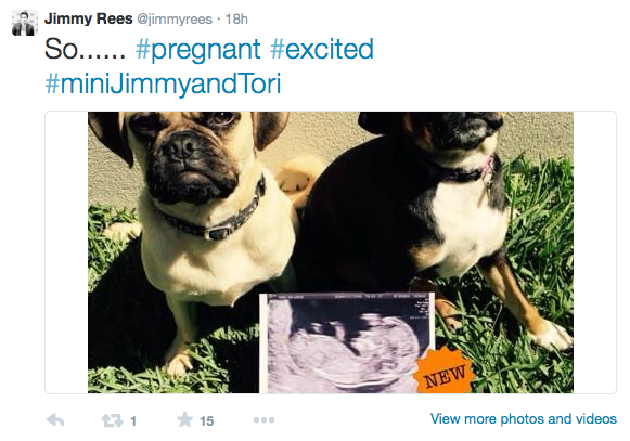 Wonderful news for Jimmy Rees (AKA Jimmy Giggle)! - Mouths of Mums