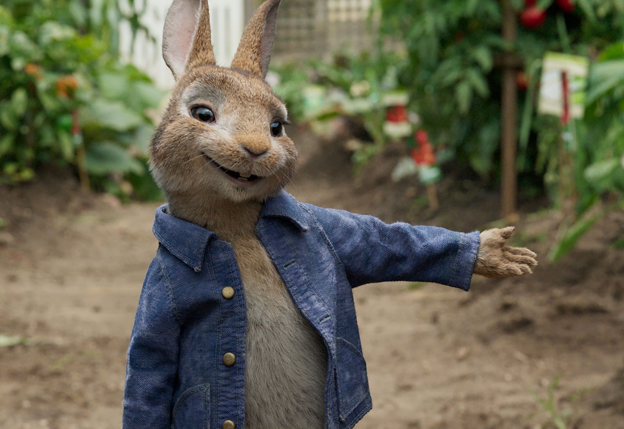 Win 1 Of 20 Peter Rabbit DVDs - Competition