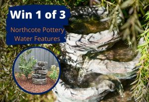 Win 1 of 3 Northcote Pottery Water Fountains - Competition