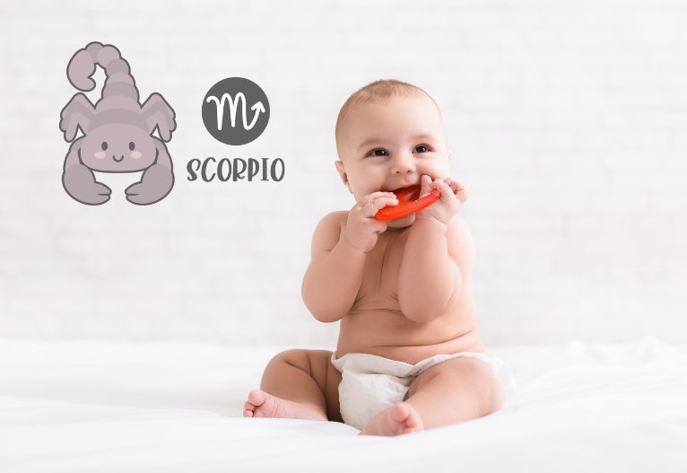 Scorpio Babies: What To Expect From Your Little Scorpion - Mouths of Mums