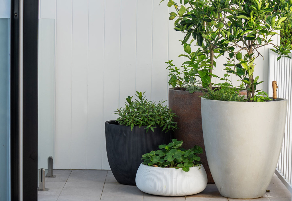 This Exterior Reno Is Next Level! - Mouths of Mums