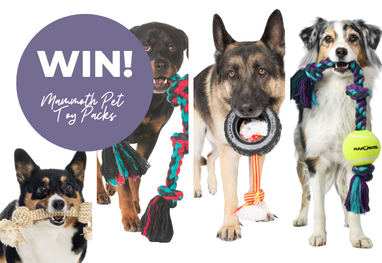 Win 1 Of 4 All-New Mammoth Pet Toy Packs! - Competition