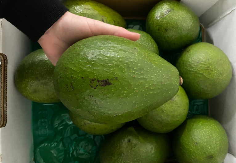 Supersized Avocados Set To Be A Smash Hit - Mouths of Mums