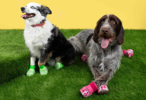 Crocs For Pets Have Arrived! - Mouths of Mums