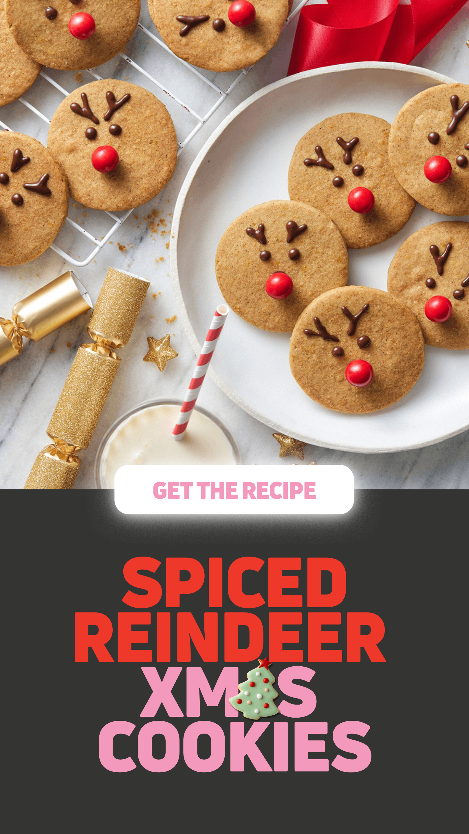 IGA_Spiced Reindeer Xmas Cookies - Mouths of Mums